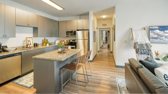 The Paddock Club Tallahassee Apartments - RentTally